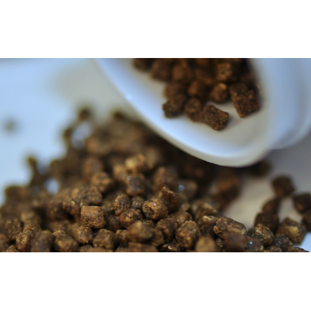 Easy Reefs - DKI Marine - Diam. 1.2mm - 50g