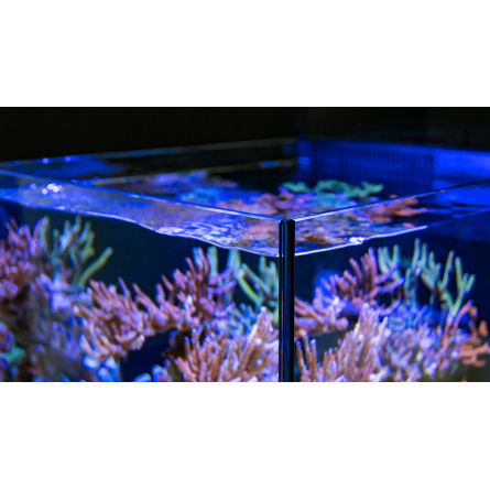 RED SEA - Max Nano Cube G2 - 75 L - Akvarij sve u jednom - Crni ormarić