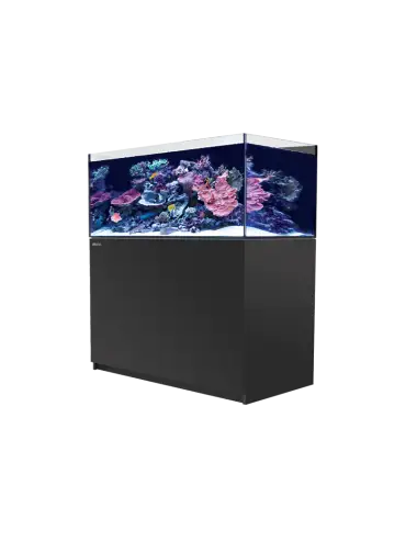 RED SEA - Reefer 425 G2 - Schwarz - 343 Liter