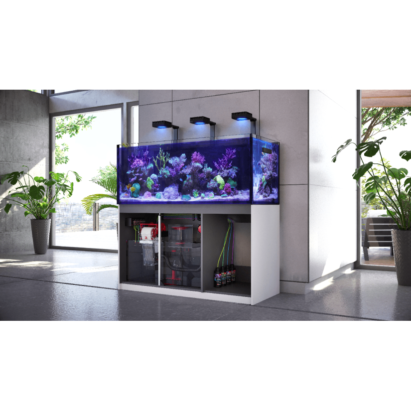 RED SEA - Reefer 750 G2 Deluxe - Black - 600 liters - 3 ReefLED 160S