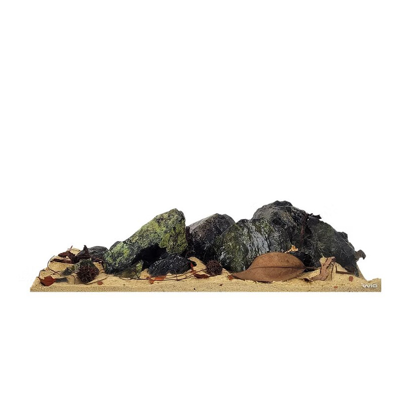 WIO - Kit para el río Everglades - Kit completo de paisajismo acuático
