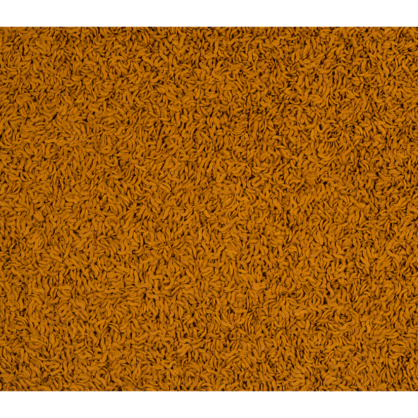 TETRA - Goldfish Wave Sticks - 250ml - Food sticks for goldfish