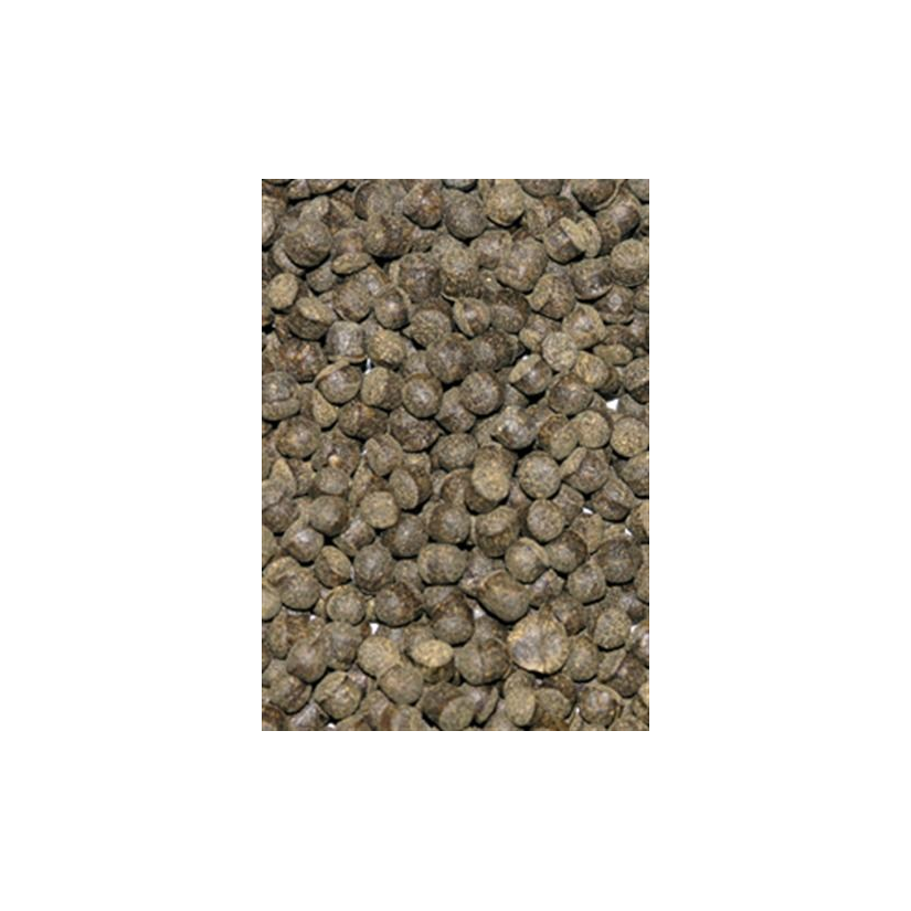 OCEAN NUTRITION - Cichlid Omni Pellets Medium - 100g- Food for ...