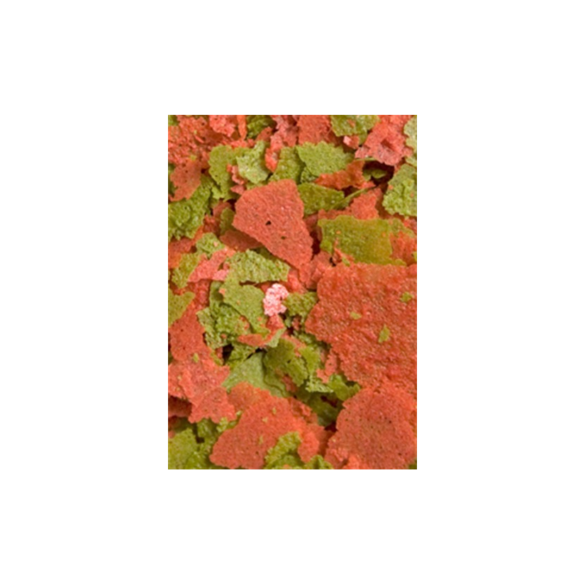 OCEAN NUTRITION - Discus Flakes - 34g - Flake food for Discus