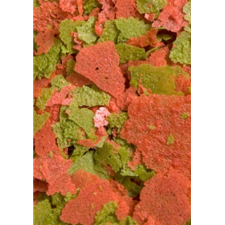 OCEAN NUTRITION - Discus Flakes - 70g - Flake food for Discus